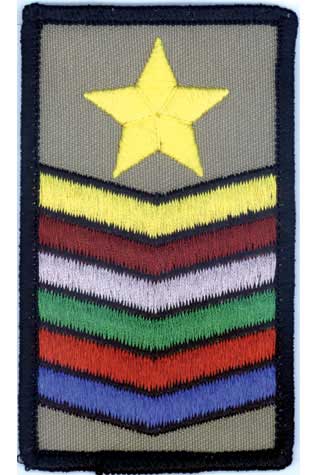 YOUTH DENOMINATION: CLASSES UNDER THE PATHFINDER CLUB