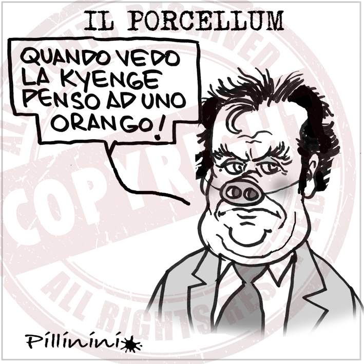satira politica: CALDEROLI DA' DELL'ORANGO ALLA MINISTRA DELLA ...