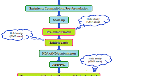 PHARMACEUTICAL GENERIC DEVELOPMENT FLOW CHART: Hold time study
