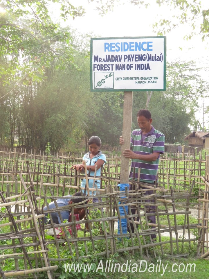 Jadav Payeng - Alone Indian Man Plants 1360 acre forest by Himself over ...