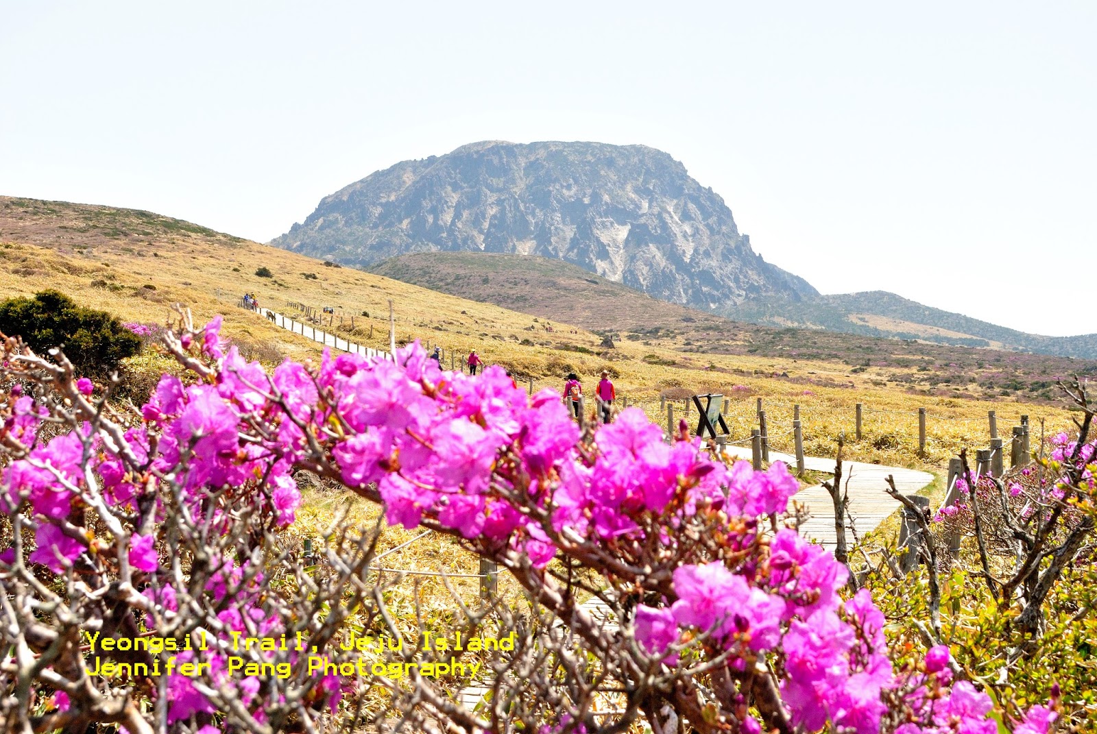 HALLASAN NATIONAL PARK, Jeju Island, South Korea: MAP & LOCATION