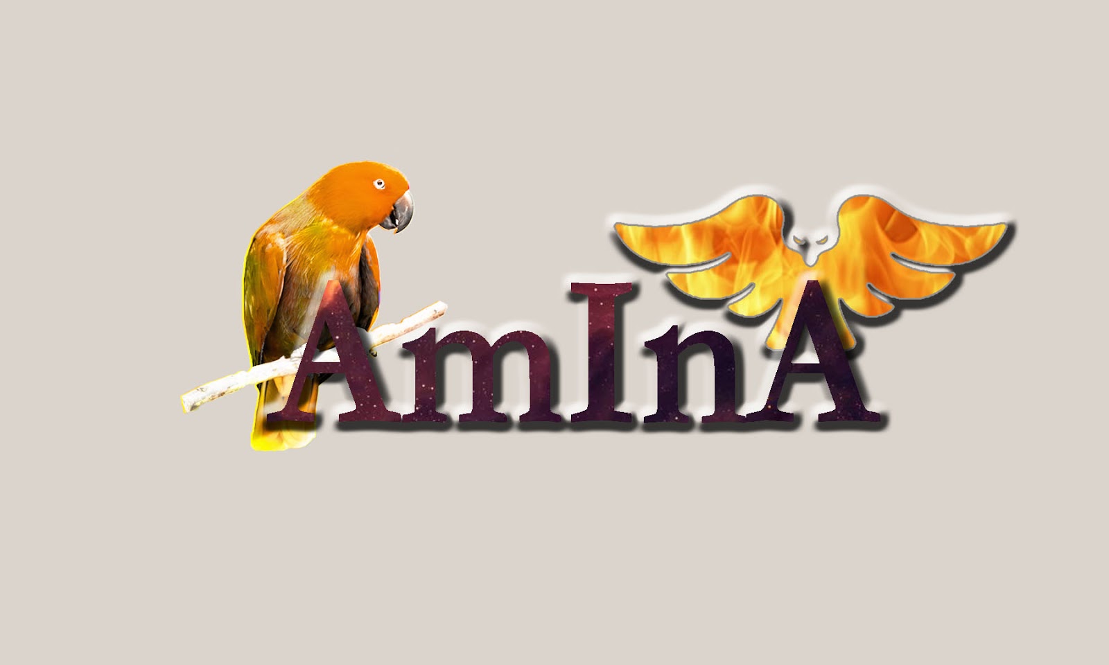 Logo Design For Amina | Logo Design For Amina 2019 | Amina Logo | Free Name Design