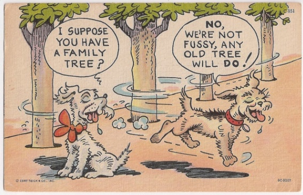 Family History Research by Jody Lutter: Genealogy Humor