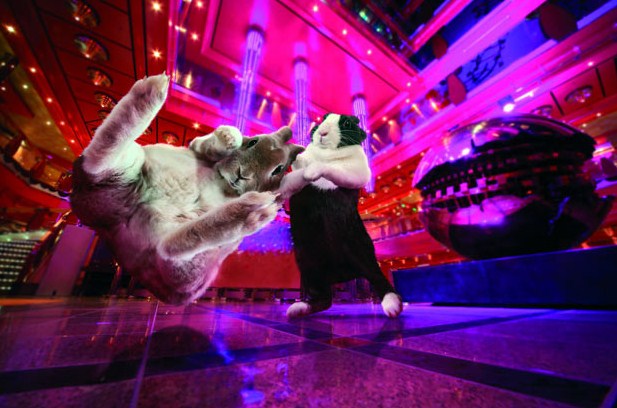 Dancing Bunnies | sawpedia