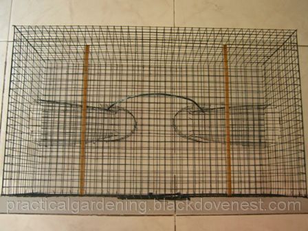 Practical Gardening: Homemade Bird Trap - Painting the Cage