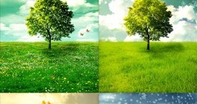 Muhamad Mukhlis: Ada Beberapa Jenis – Jenis Musim Di Dunia