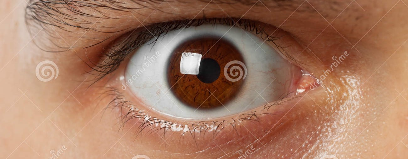 PORTAL DO GIBI NOSTALGIA: CHAMADA DOIS PARA O PORTAL 18