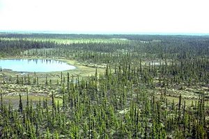 My Taiga Shield Road Trip