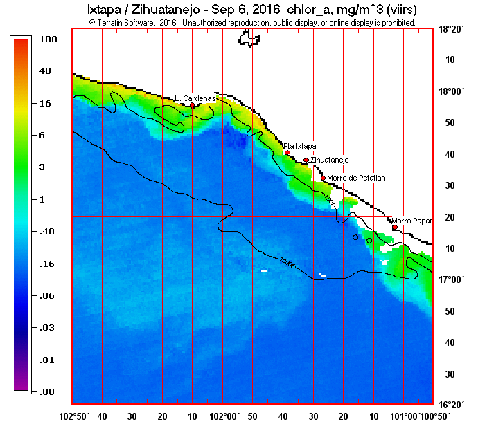 Fish Reports: Z Fish Report (9/8/16)