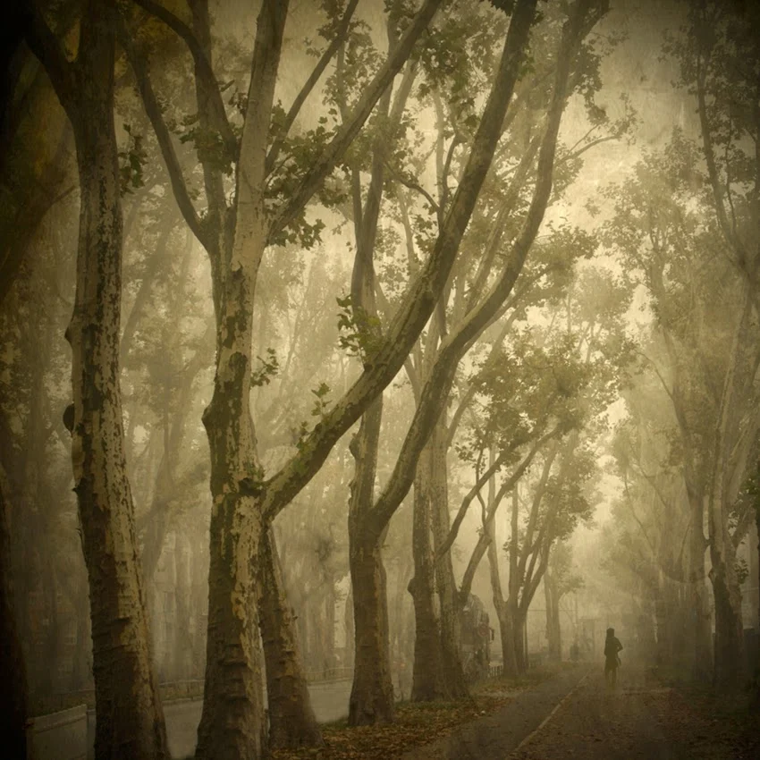 Anja Bührer | Surreal silhouettes | Tutt'Art@ Masters