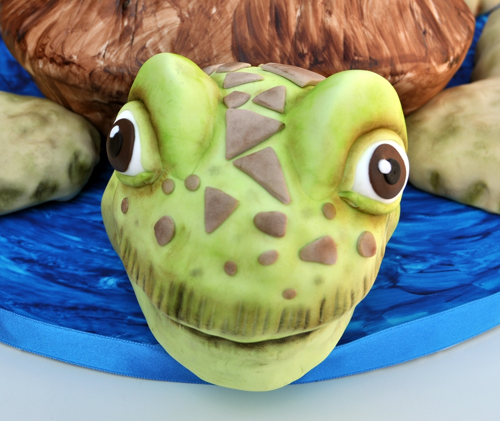 Sensacions: Buscando a Nemo