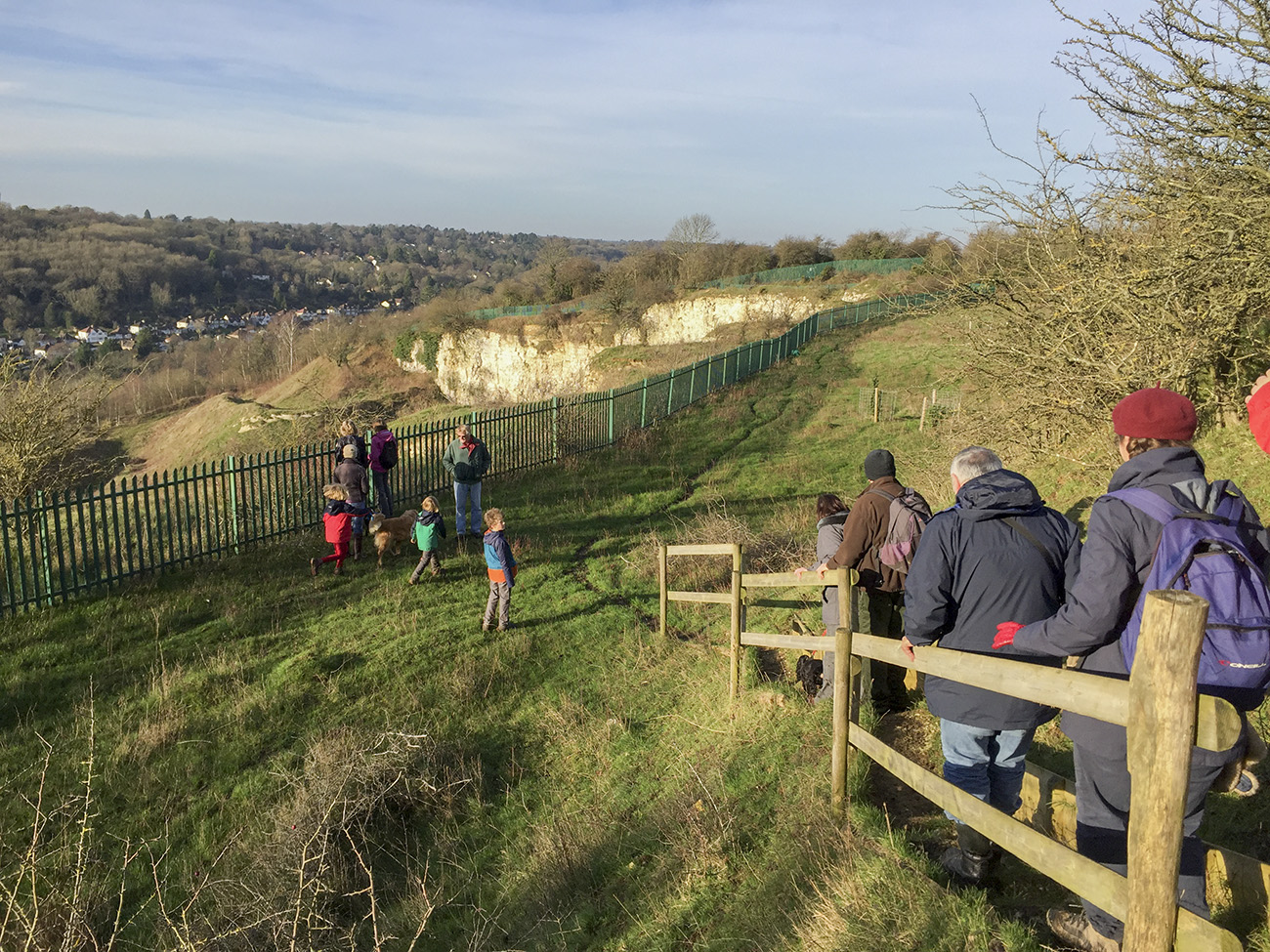 Riddlesdown Quarry, December 2015 | Naturally