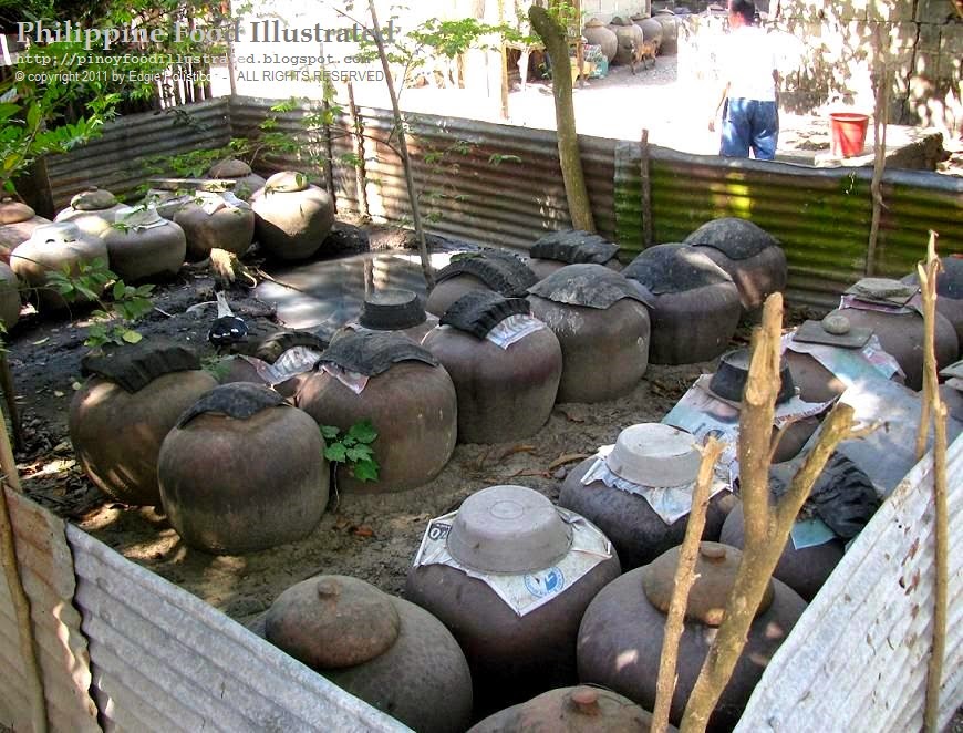 Philippine Food Illustrated: basi