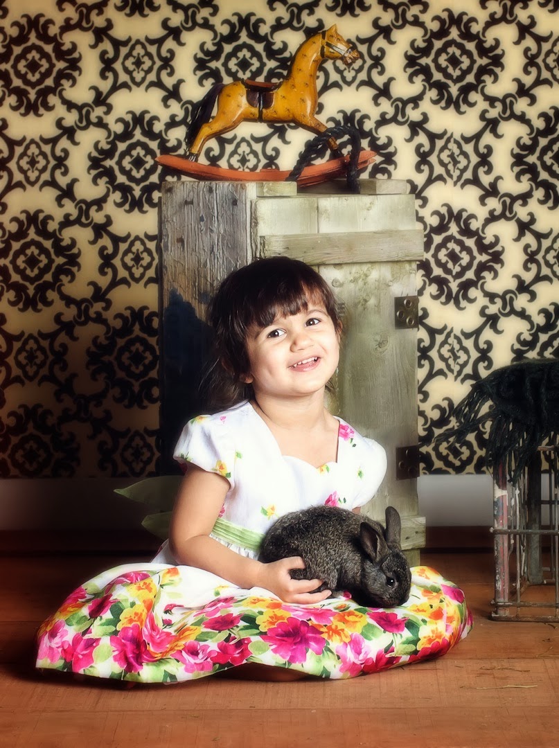 Robert Everton Photography: Limited Edition - Vintage Spring Mini's