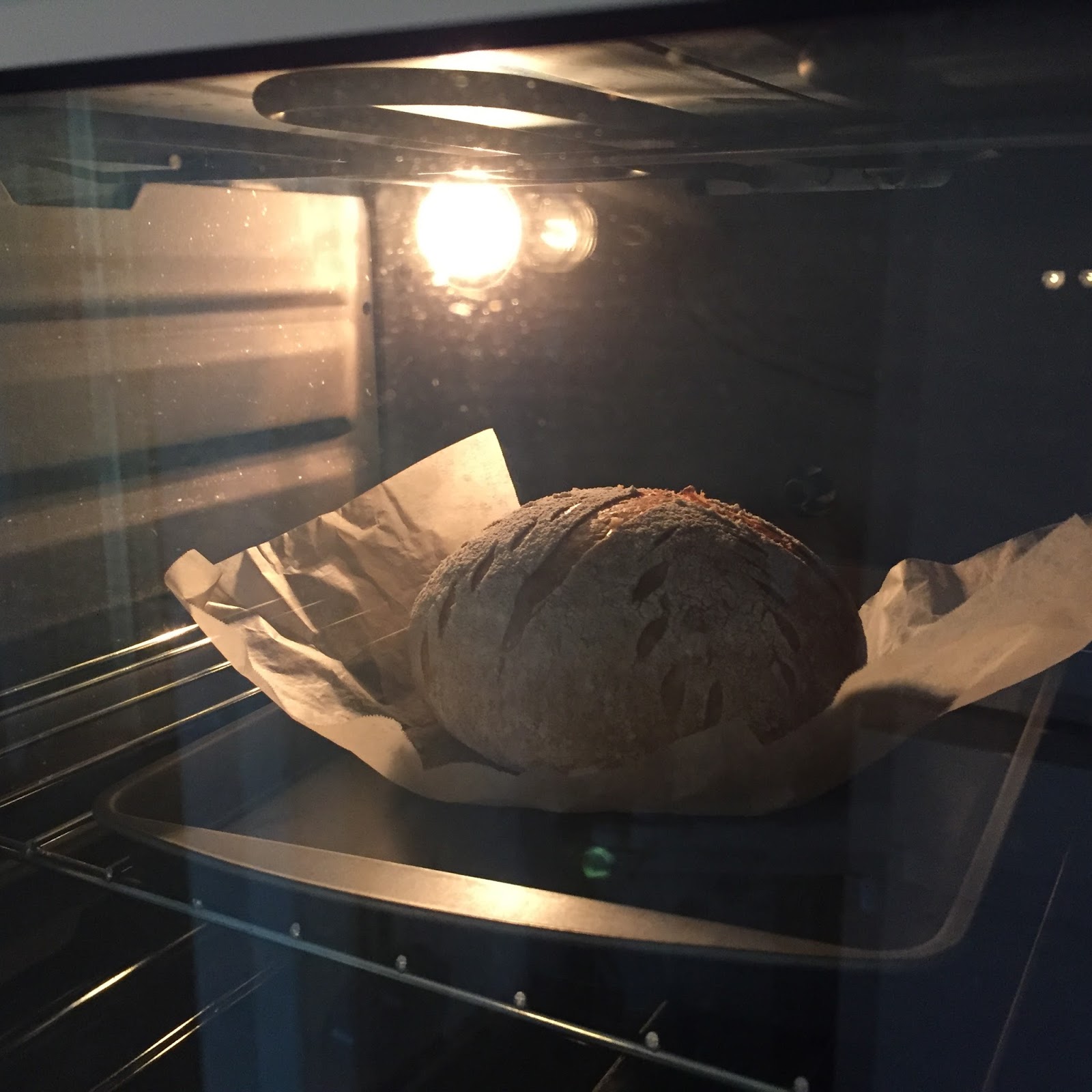 My Mind Patch: Sourdough Lean Boule with 13% Spelt Flour 27 Jun 2017