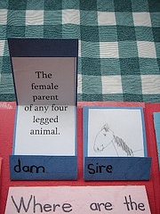 Tracy's Treasury: Lots of Minibook Examples