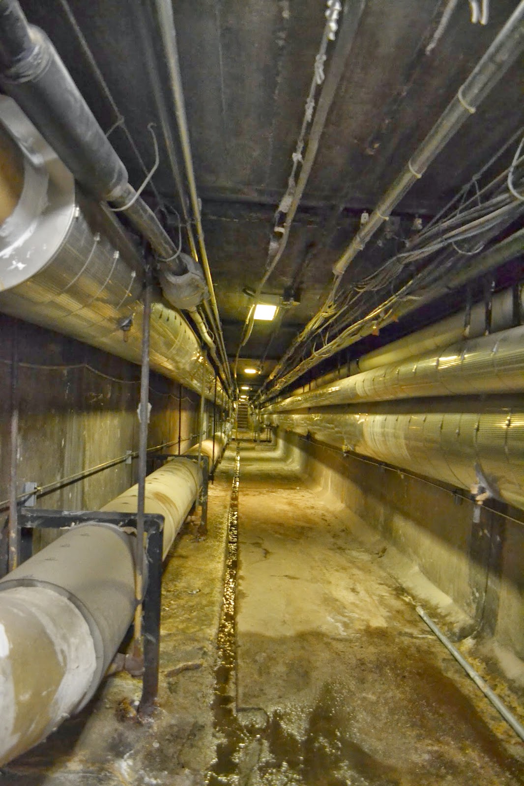 Love is not a triangle: Blog Tour: A Photographic Tour of Plus One by ...