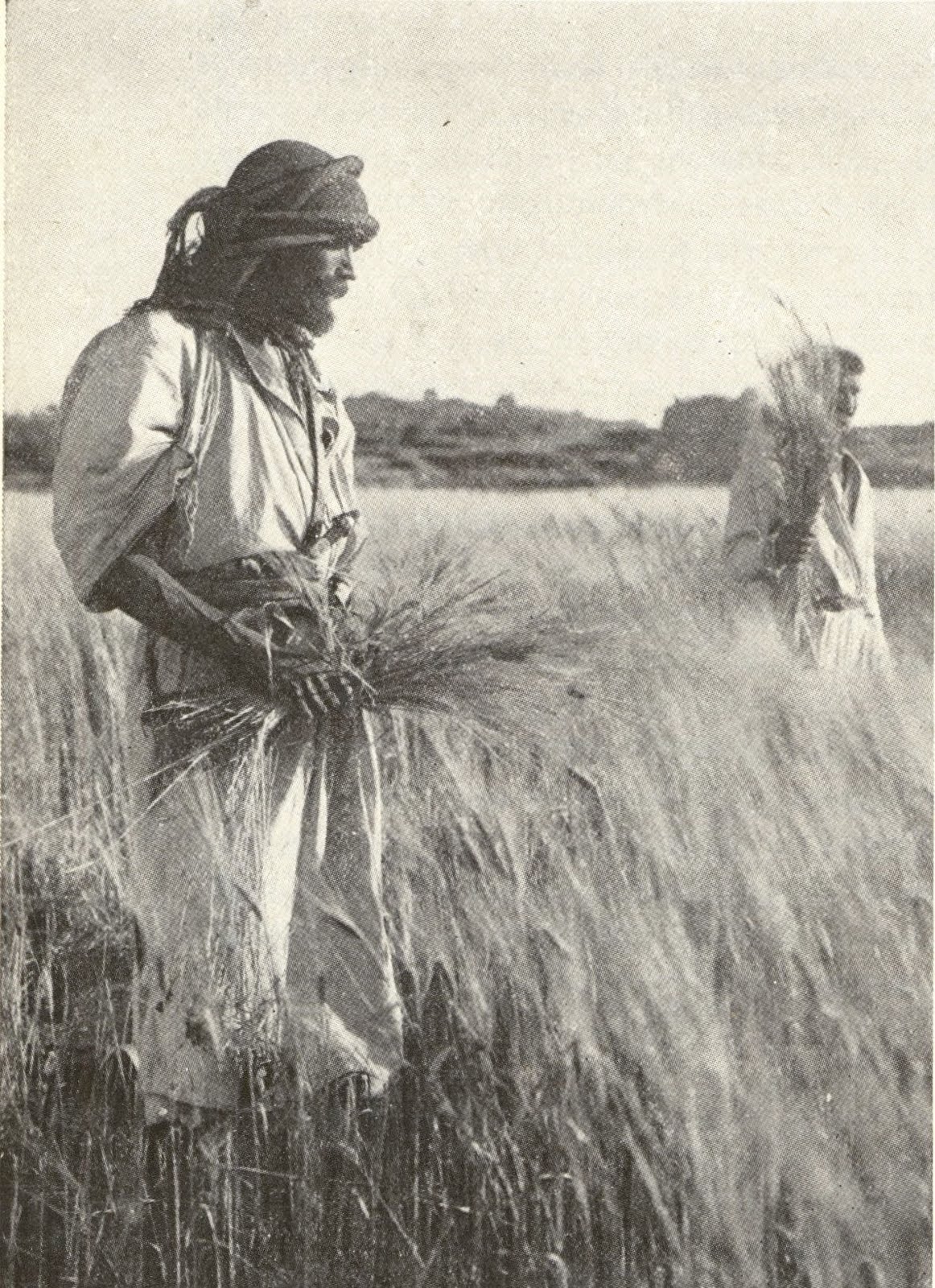 Jaquemate: Victor Hugo Booz Endormi Version bilingüe