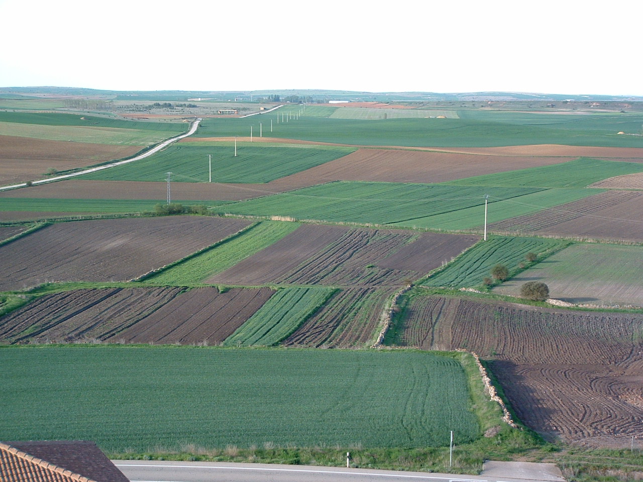 Histórico de Noticias de Baraona