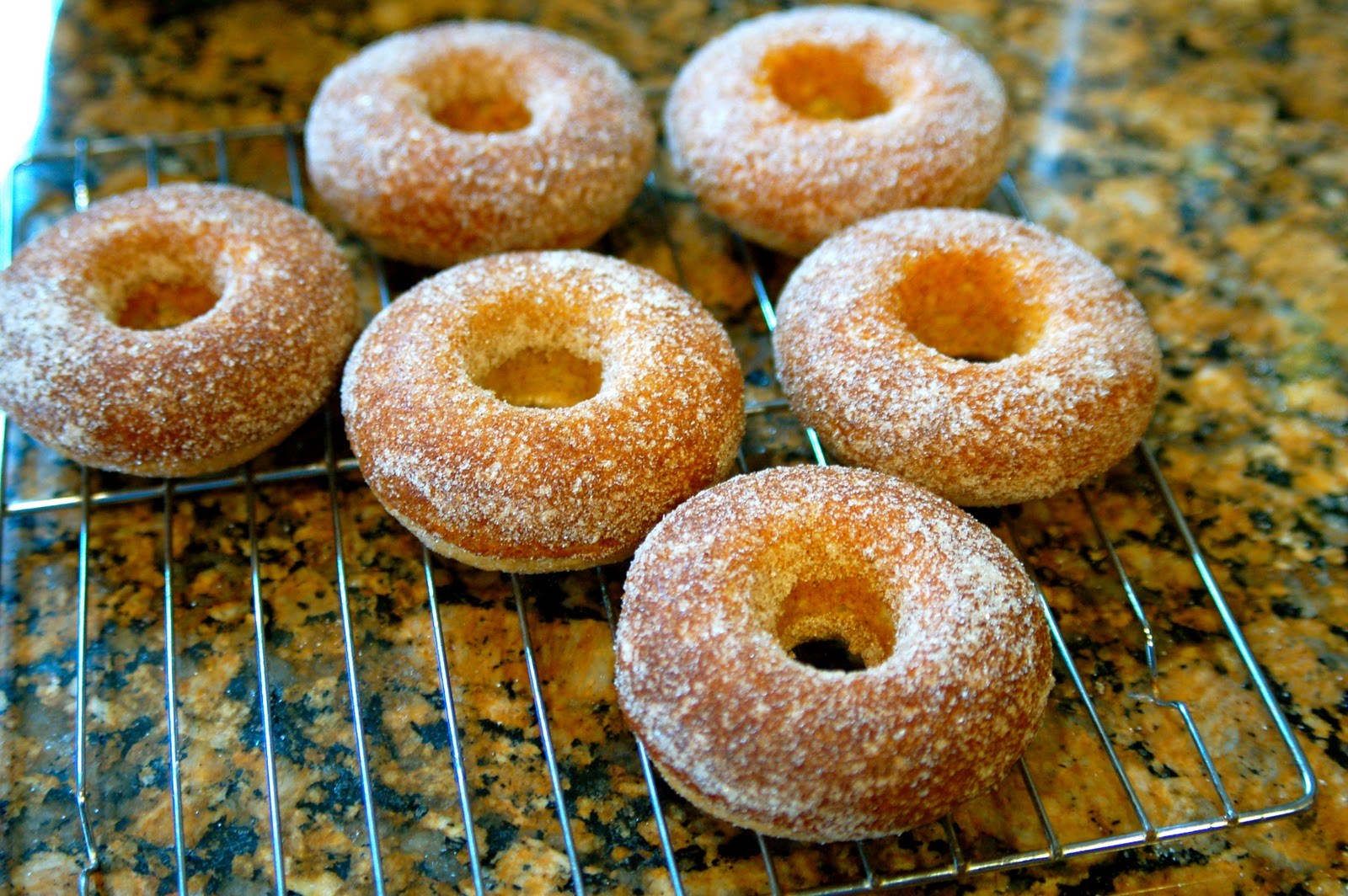 Samma Spot: D'oh Nuts....Donuts