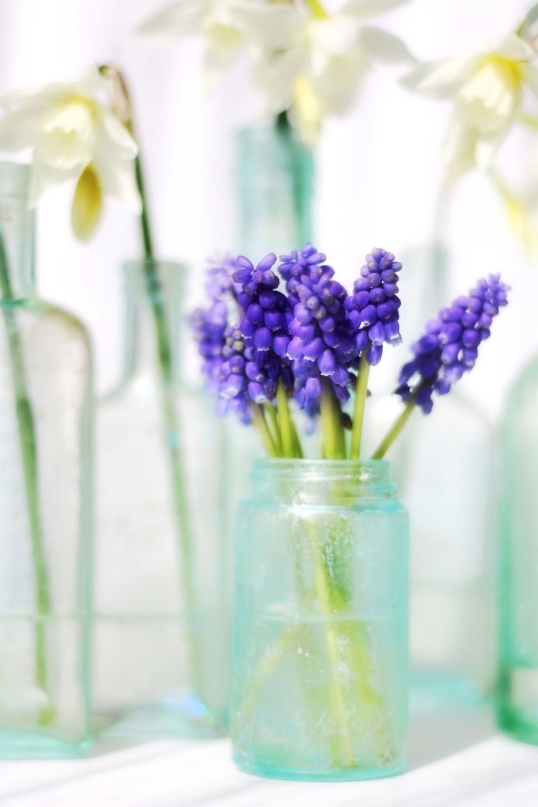 erin's art and gardens: dreaming of spring...