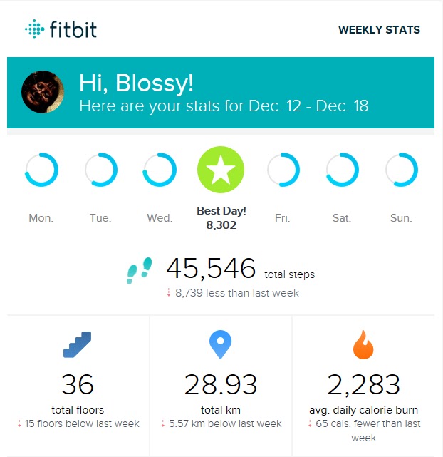 Blooming Lovely: Weekly Fitbit Stats - 12 Dec 2016 to 18 Dec 2016