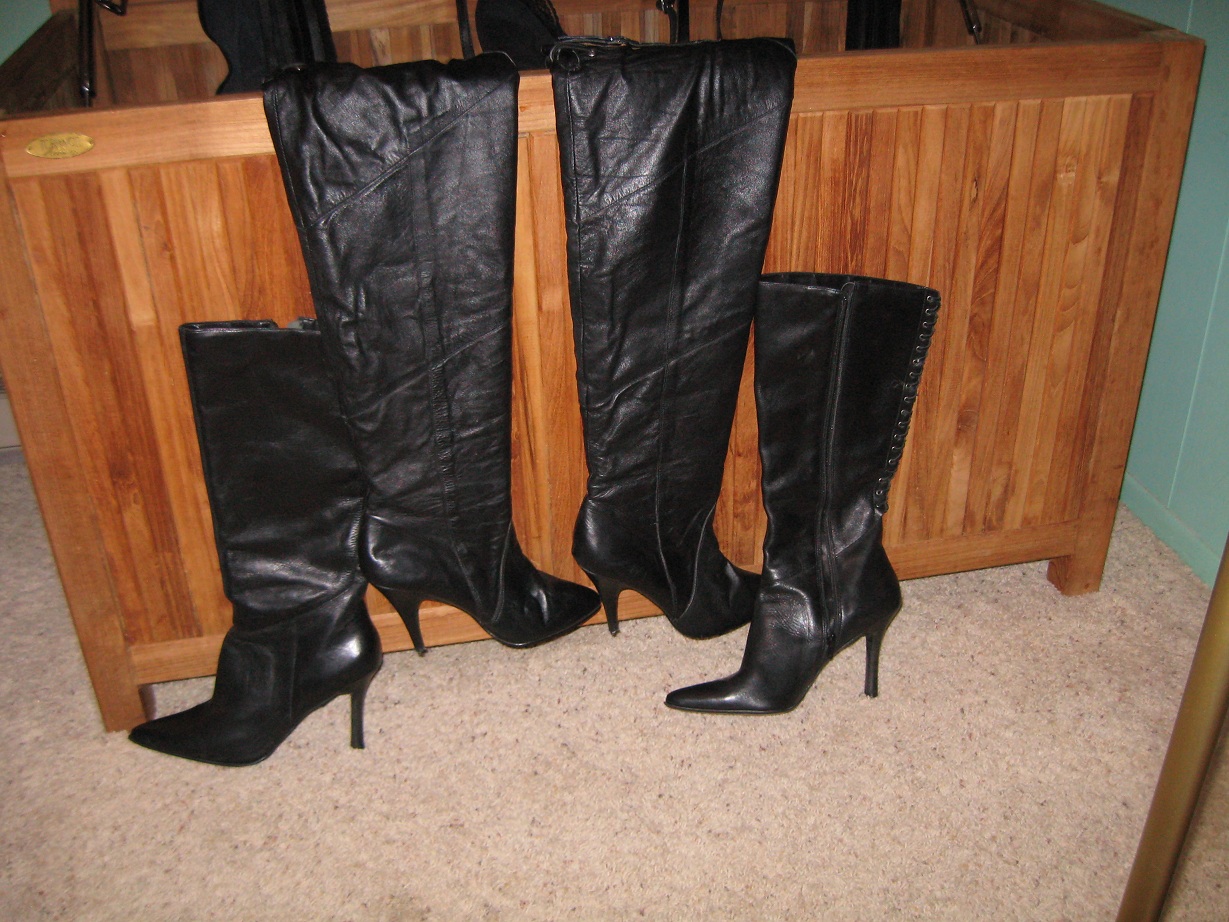 Confessions of a Dominant Wife: Boot Lovers