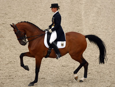 Horse Riding: The equestrian disciplines