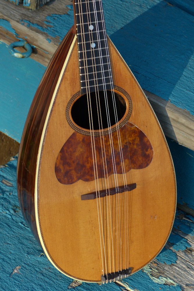 1910s Vega-made Warren Bowlback Mandolin