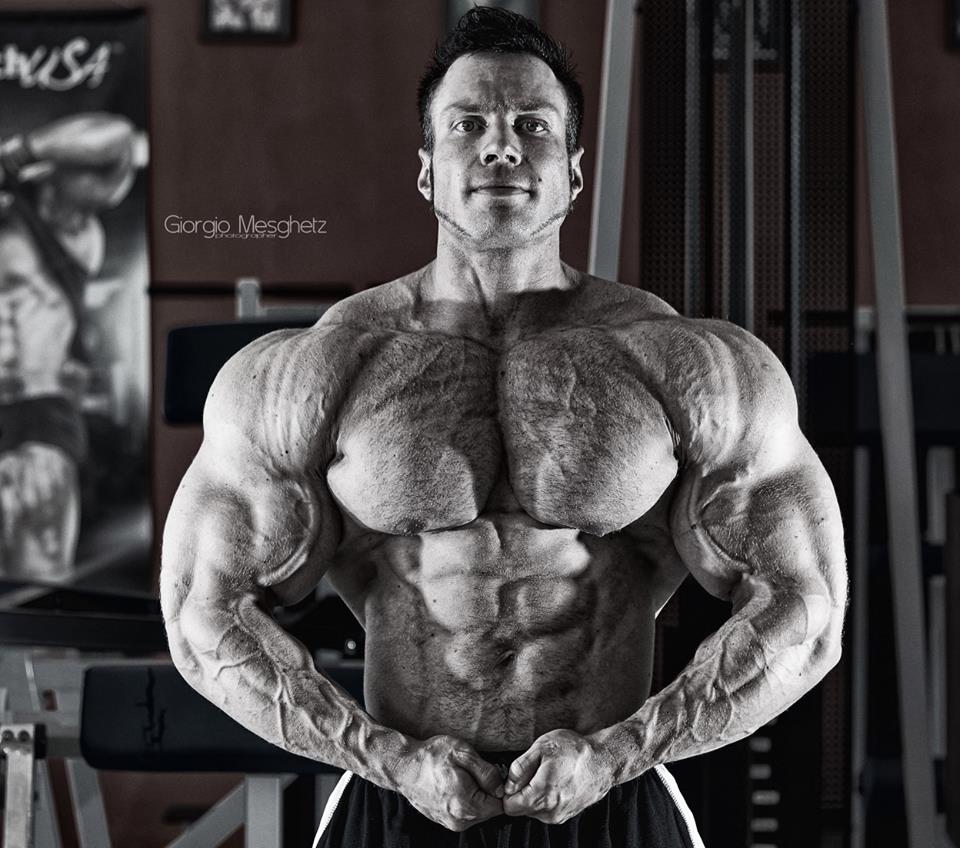 Muscle Lover: December muscle mix 2015