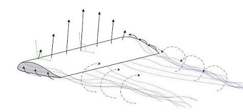 McCabism: Ducks, geese, and Karman vortex streets