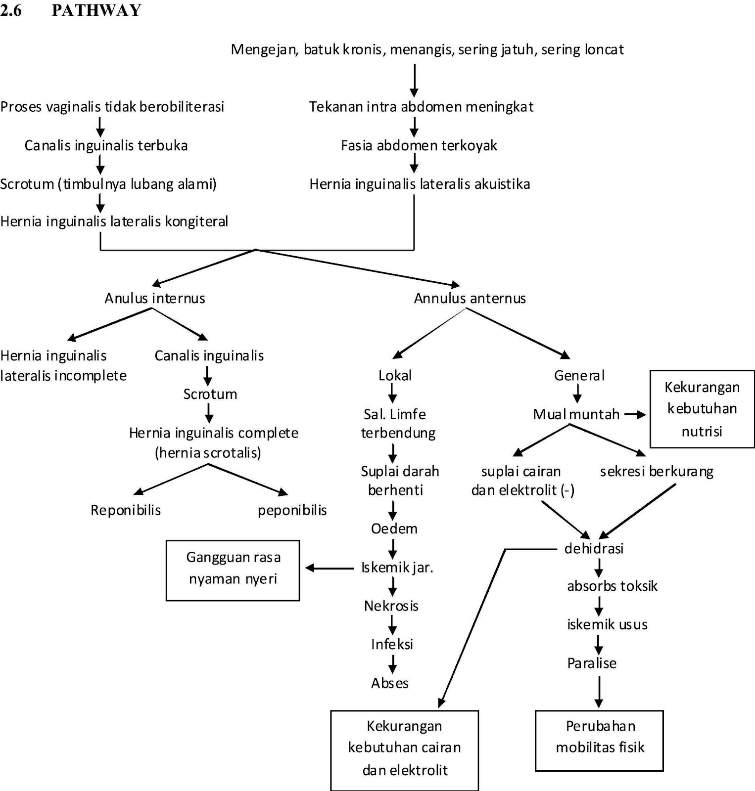 KESEHATAN: Askep Hernia Pada Anak