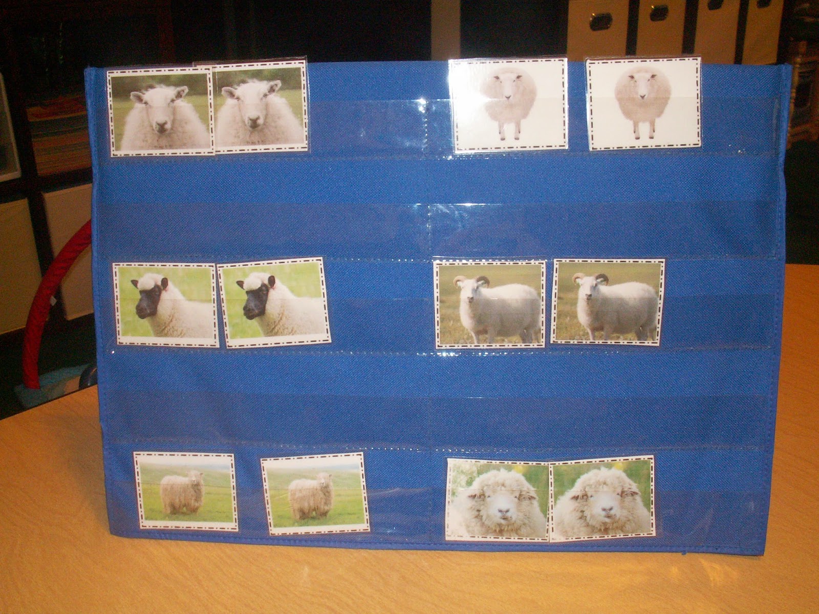 "The Kids Place" Home Daycare and Preschool: Mary Had a Little Lamb ~2014