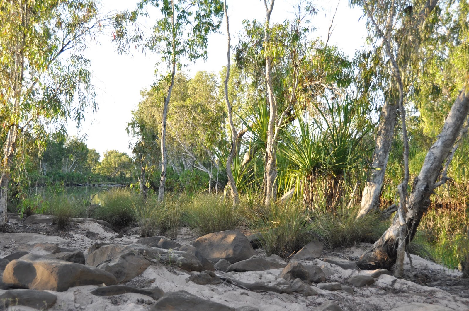 BarbaraTVan: BARBARA'S KIMBERLEY ADVENTURE - WALCOTT INLET TO GIBB ...