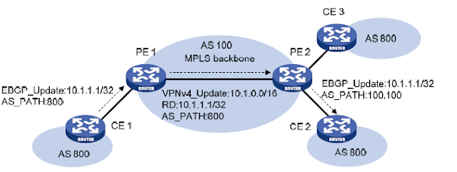 Networking: BGP AS Number Substitution