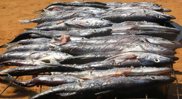 MATUKIO @ MICHUZI BLOG: SHANGWE ZA MIGEBUKA CHOMA KIGOMA JANA NDANI YA ...