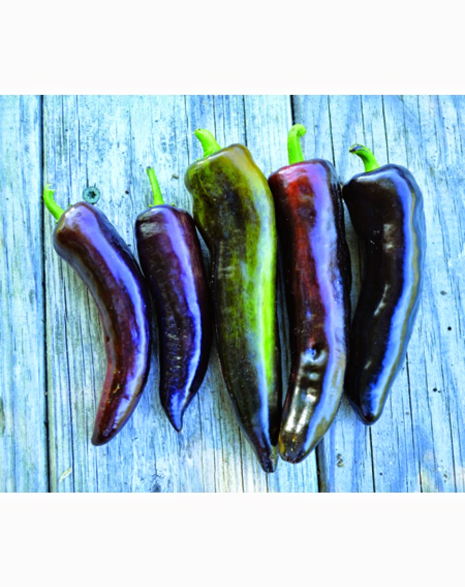 Tarım Siteniz: Biber Çeşitleri (Pepper varieties)