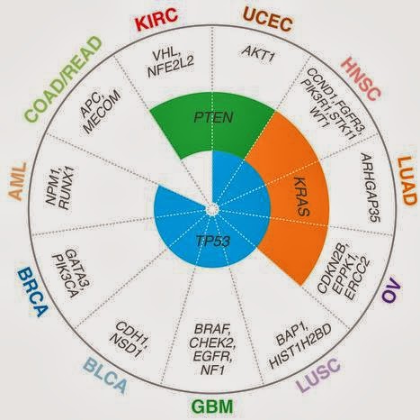 Mission Tumor: Common Mutations Drive 12 Different Cancer Types