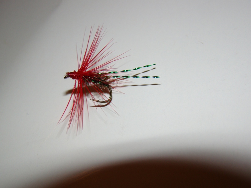 Pescuit cu musca artificiala: Taparina CLEAN