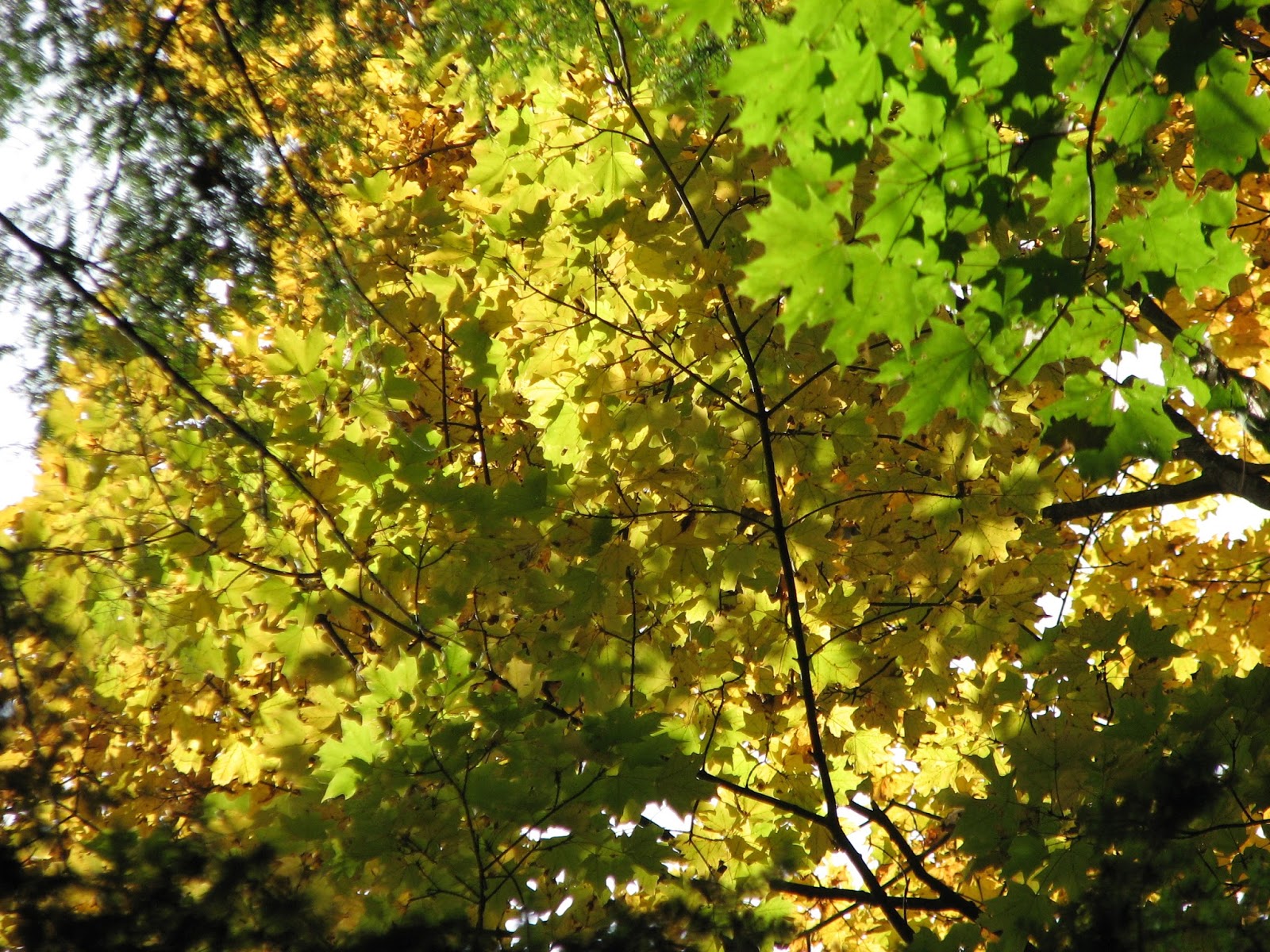 Red Rocks Park -South Burlington, Vermont | Litter with a Story To Tell