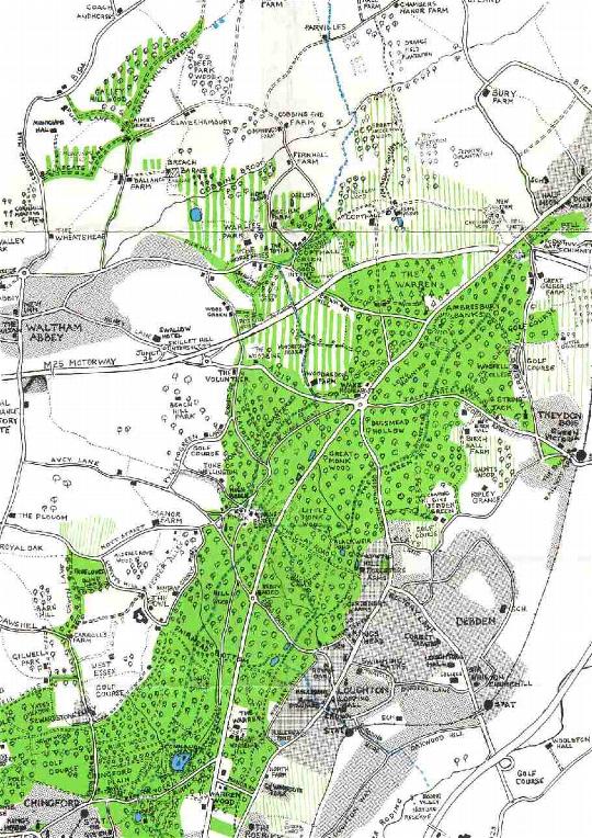 Forest: epping forest