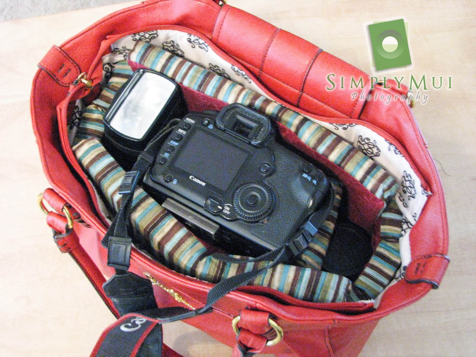 SimplyMui Photography: Camera Padding Insert: Anti-DIY