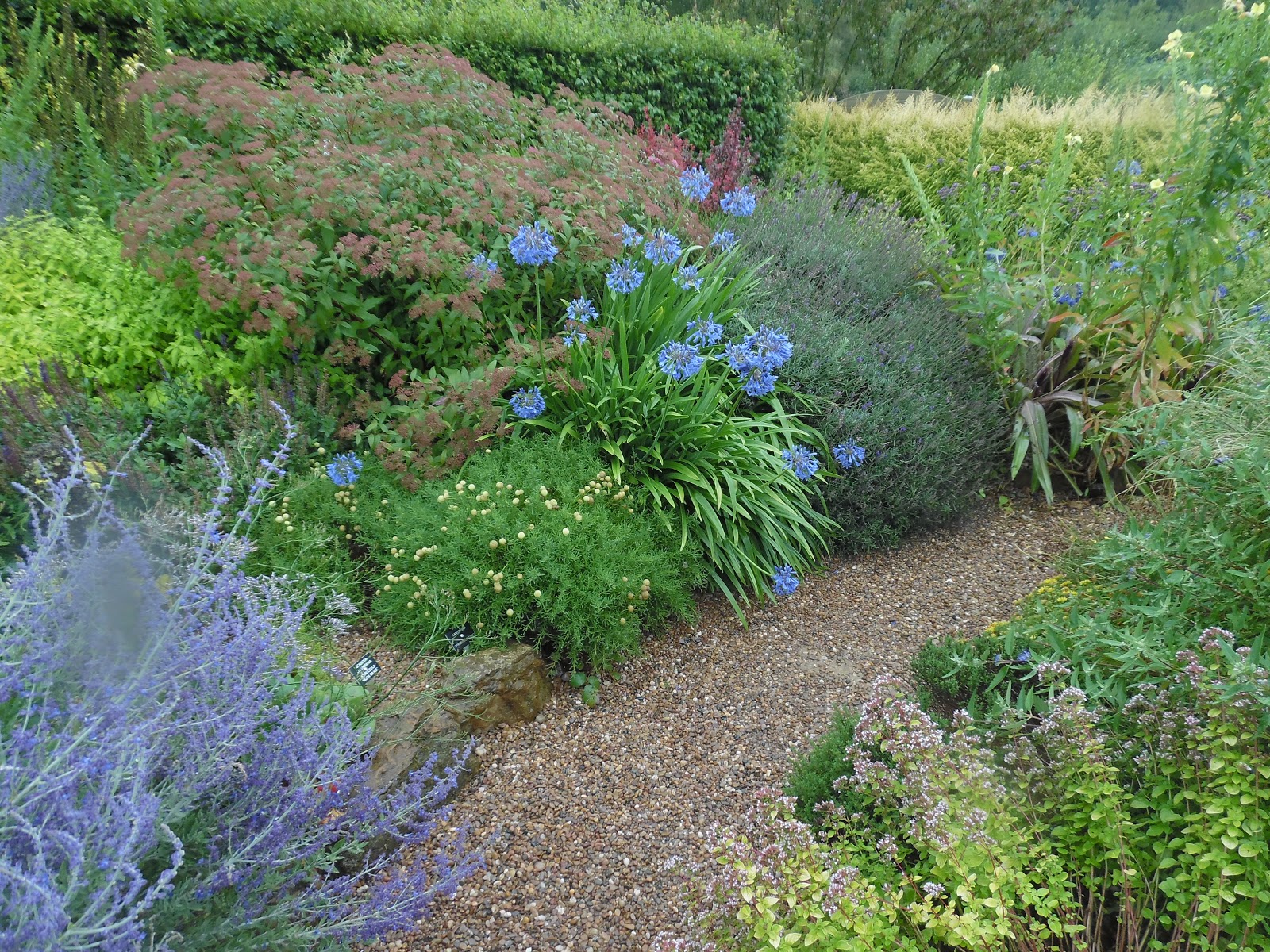 Ogród Tamaryszka: BARNSDALE GARDENS - OGRODY DLA KAŻDEGO