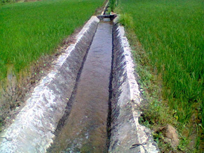 Manfaat Irigasi Untuk Pertanian | RONY AGRICULTURE