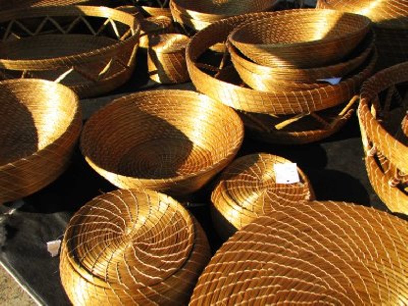 Operação Capim Dourado: AFINAL, O QUE É O CAPIM DOURADO?