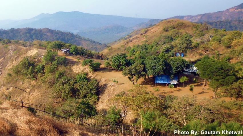 Treks around Thane and Mumbai: Mama Bhanja Hills, Thane West