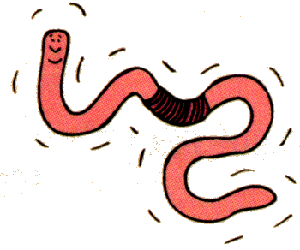 ♥ AMIGA DOS PETS ♥: FORA, SEUS VERMES!