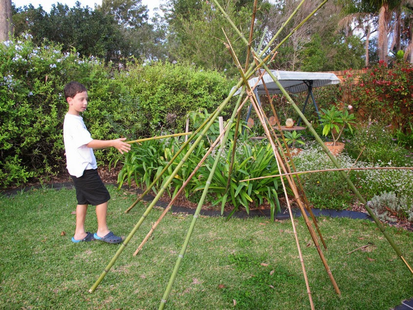 Melinda'sCreative Wishes: Bamboo TeePee Building in the Front Yard
