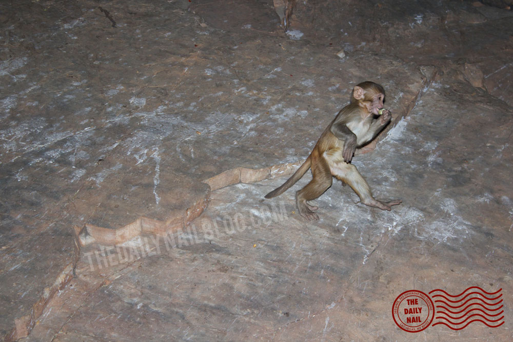 Not Very A-Peel-ing. - The Daily Nail