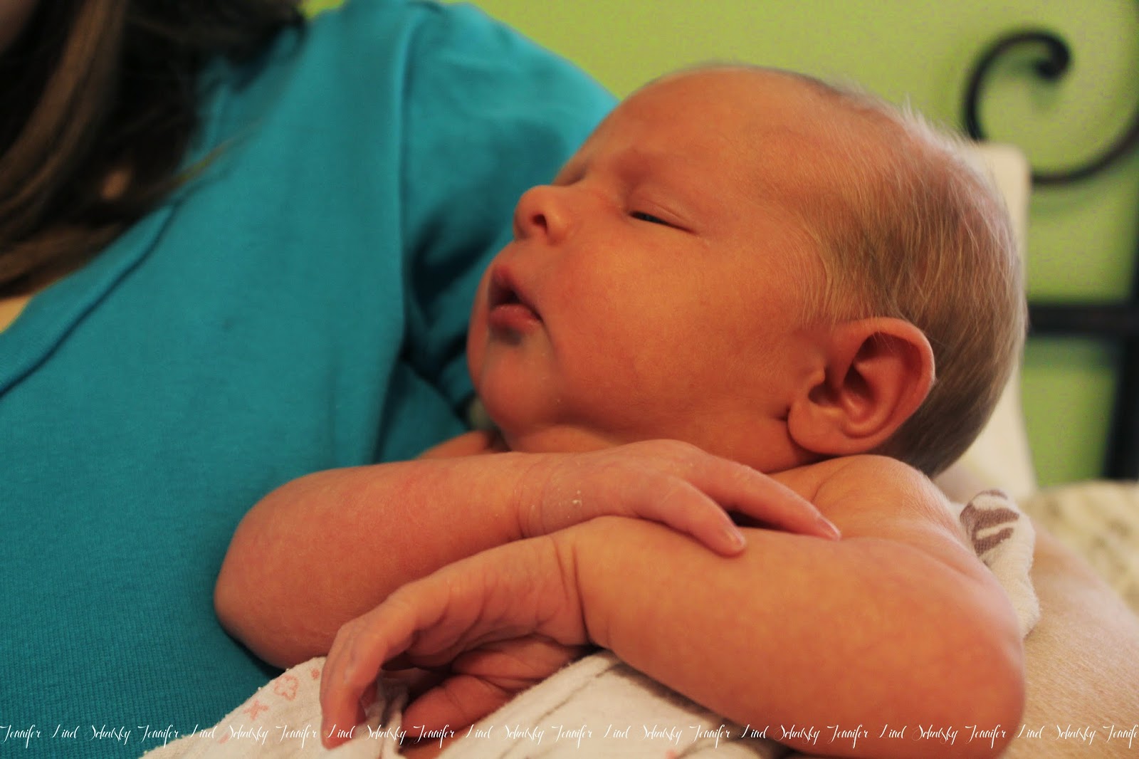 Hawks and honey: Baby Maggie's Newborn Photo Session